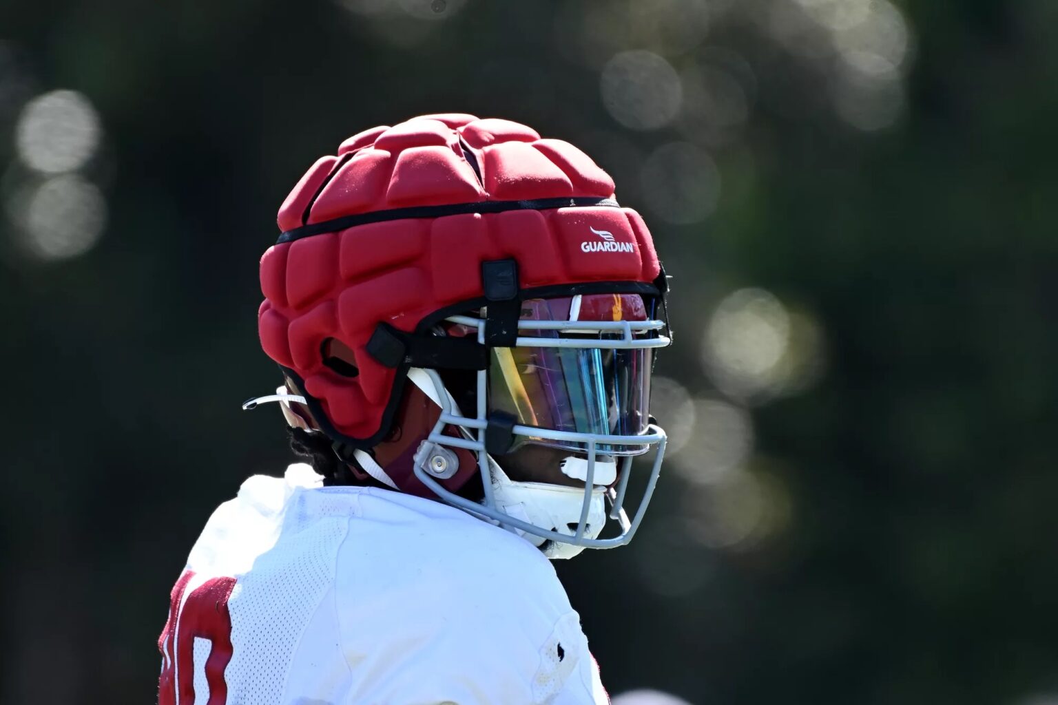 The Story of Bear Alexander - Trojan Daily Blog